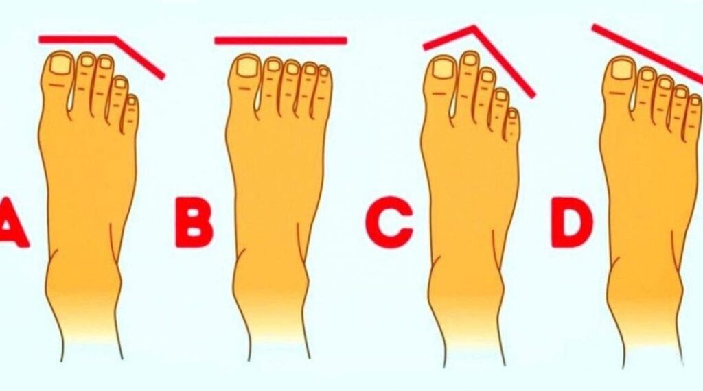 Ontdek wat de vorm van je voet zegt over JOUW persoonlijkheid ...